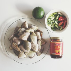 Stir-fried Pipis in XO Sauce – AMCARMEN'S KITCHEN