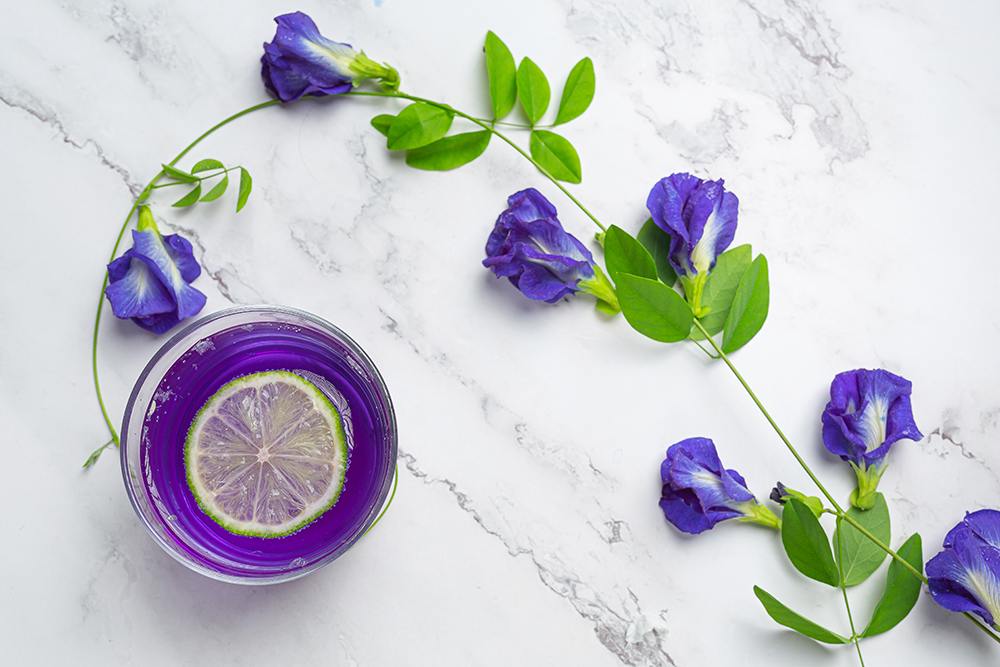 Magic Butterfly Pea Lemonade – AMCARMEN'S KITCHEN